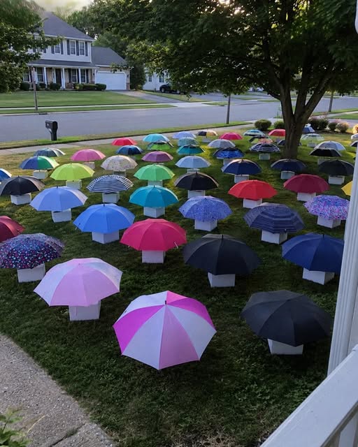 My Son Gave His Umbrella to a Pregnant Stranger in the Rain – The Next ...