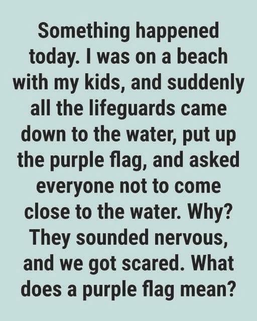What a Purple Flag at the Beach Means for Safety and Marine Conditions ...