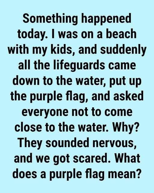 Why You May See a Purple Flag at the Beach: Understanding Ocean Safety ...
