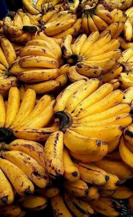 Doctors reveal that daily consumption of BANANANAS results in… see more ...